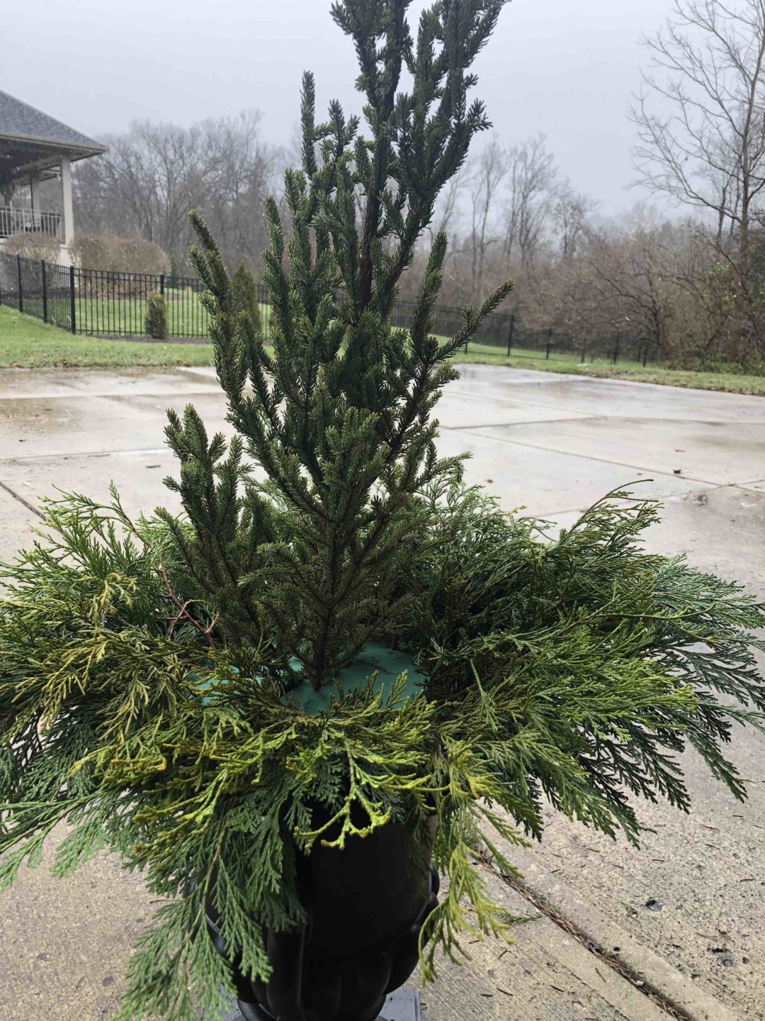 How to Make Winter Porch Pots - Evolution of Style